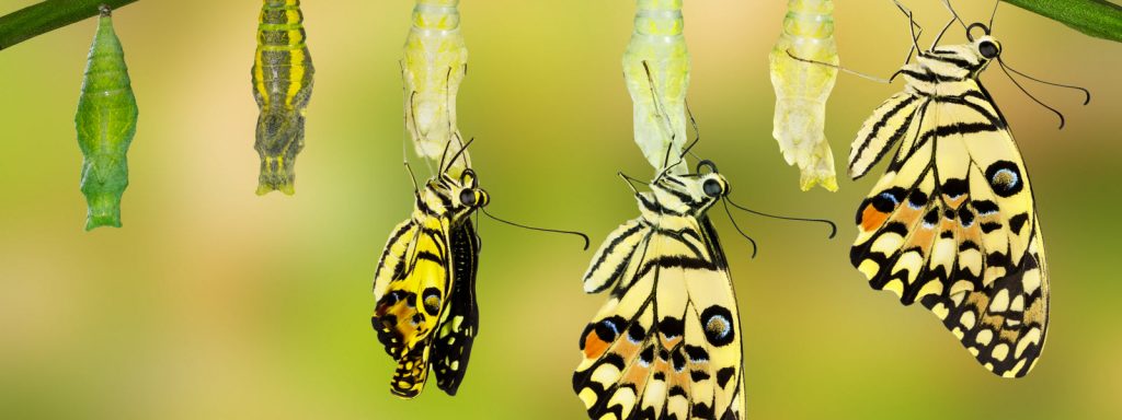 Application Migration: A Cloud Journey / Blogs / Perficient