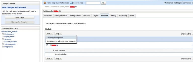 OBIEE 11g - Deployment of Custom Skins and Styles / Blogs / Perficient