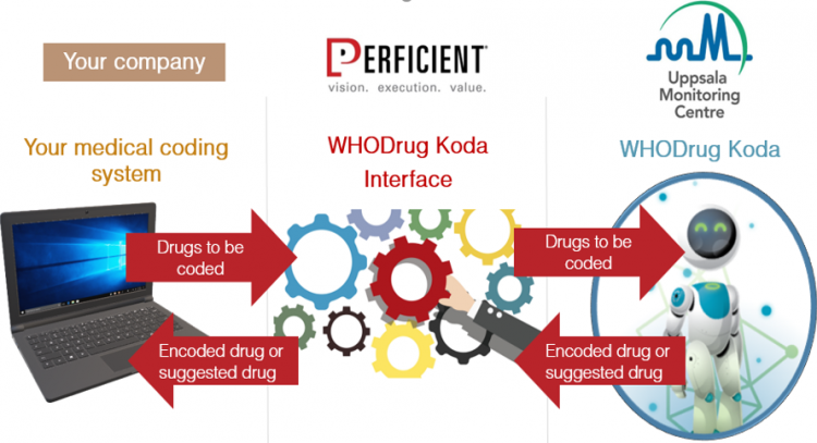 How To Integrate WHODrug Koda Into Your Medical Coding Process
