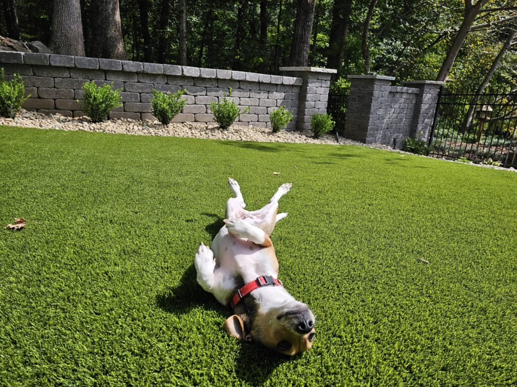 Matt Isbell Inspires Growth in Perficient’s Microsoft Practice / Blogs ...