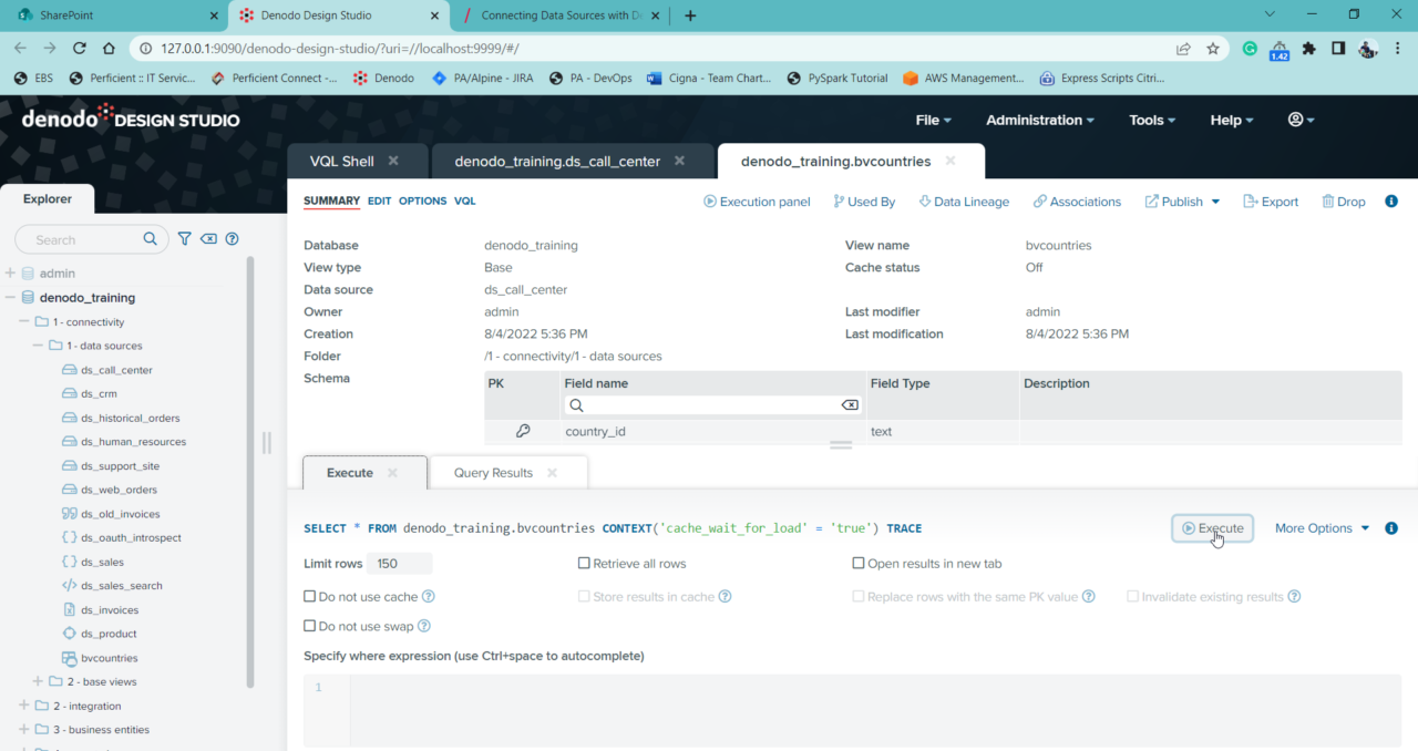 Views in Denodo / Blogs / Perficient
