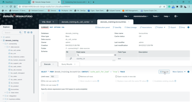 Views in Denodo / Blogs / Perficient