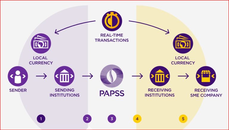 An Introduction to PAPSS - Pan African Payment and Settlement System ...
