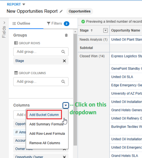 Bucket Field in Salesforce: Simplify Your Data Categorization