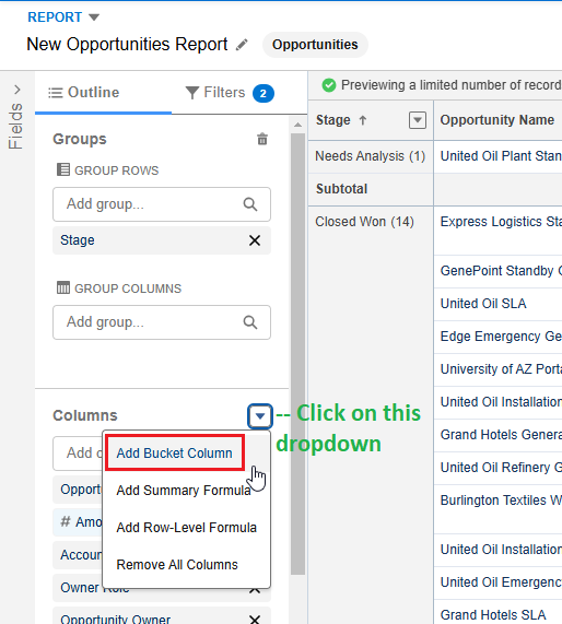Bucket Field in Salesforce: Simplify Your Data Categorization