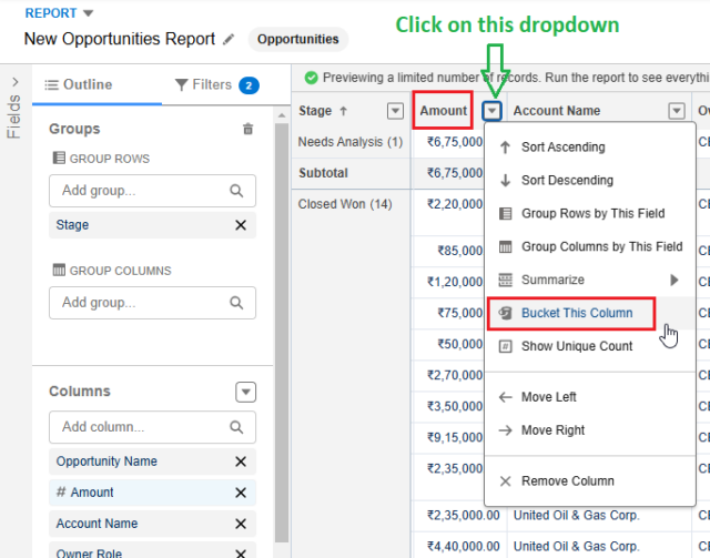 Bucket Field in Salesforce: Simplify Your Data Categorization