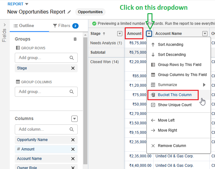 Bucket Field in Salesforce: Simplify Your Data Categorization