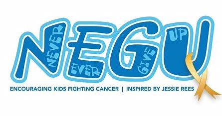Jessie Rees Foundation and The Foundation for Excellence Both Receive ...