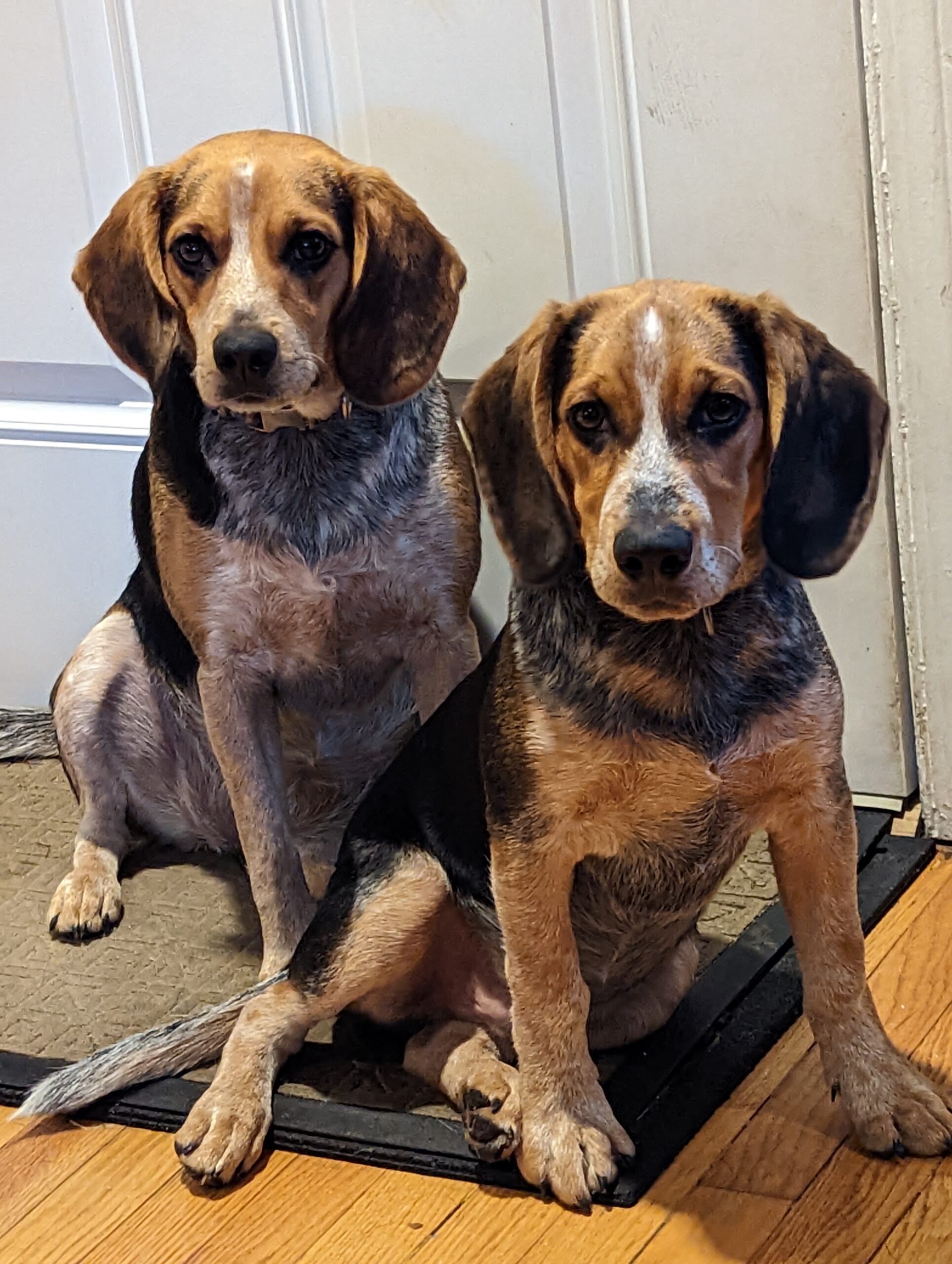 John Dymond is an Optimizely MVP / Blogs / Perficient