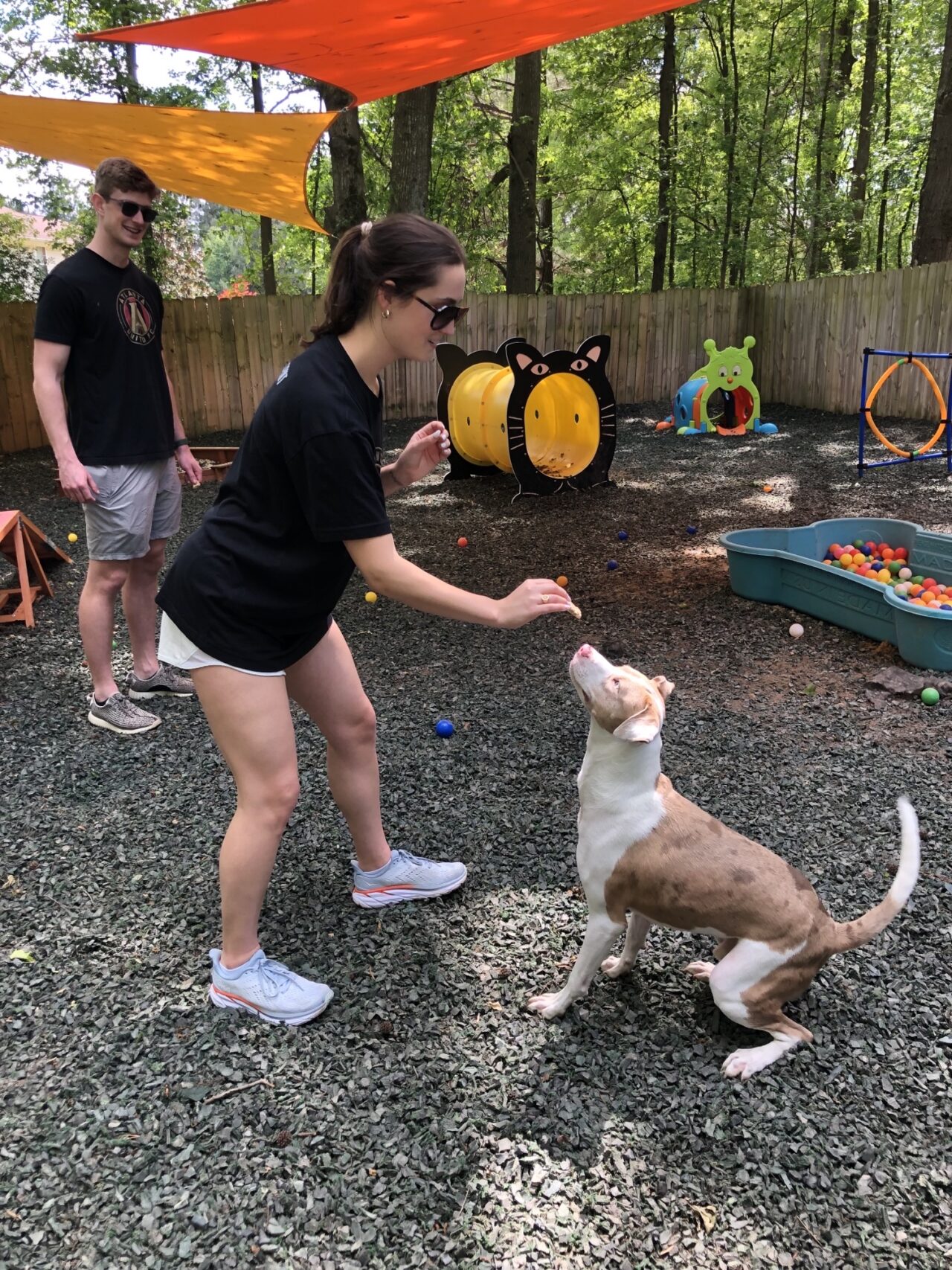 PAWS for a Cause: Our Colleagues Give Back to an Atlanta Animal Shelter ...