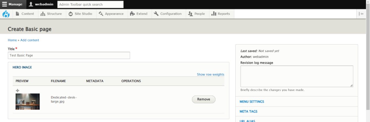 Drupal - Content Types Overview / Blogs / Perficient