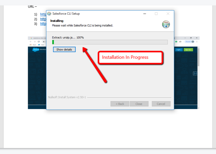 Set Up Your Salesforce DX Environment / Blogs / Perficient