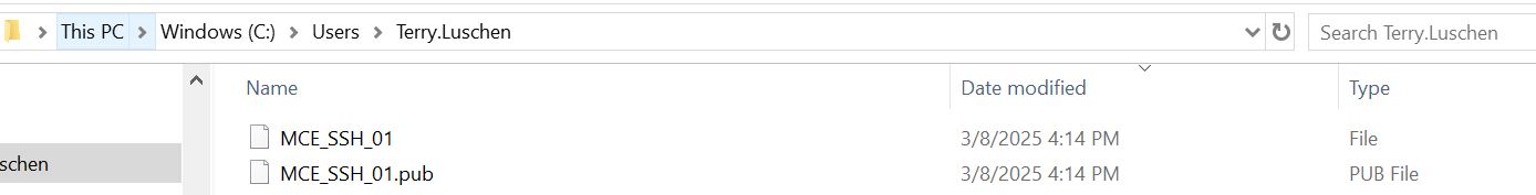 Activate to SFTP from Salesforce Data Cloud / Blogs / Perficient