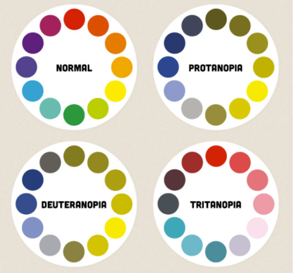 Visual Assistive Technologies: Transforming the Digital Landscape for ...