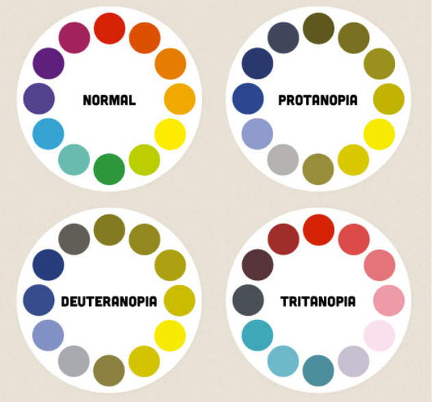 Visual Assistive Technologies: Transforming the Digital Landscape for ...