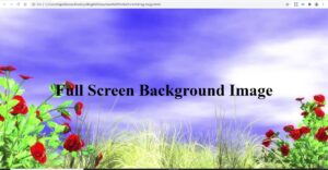 How to Understand Viewport Units(VW & VH) in CSS