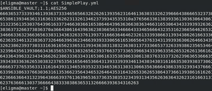 How to Secure Plays (Automation Tasks) by Using an Ansible Vault / Blogs / Perficient