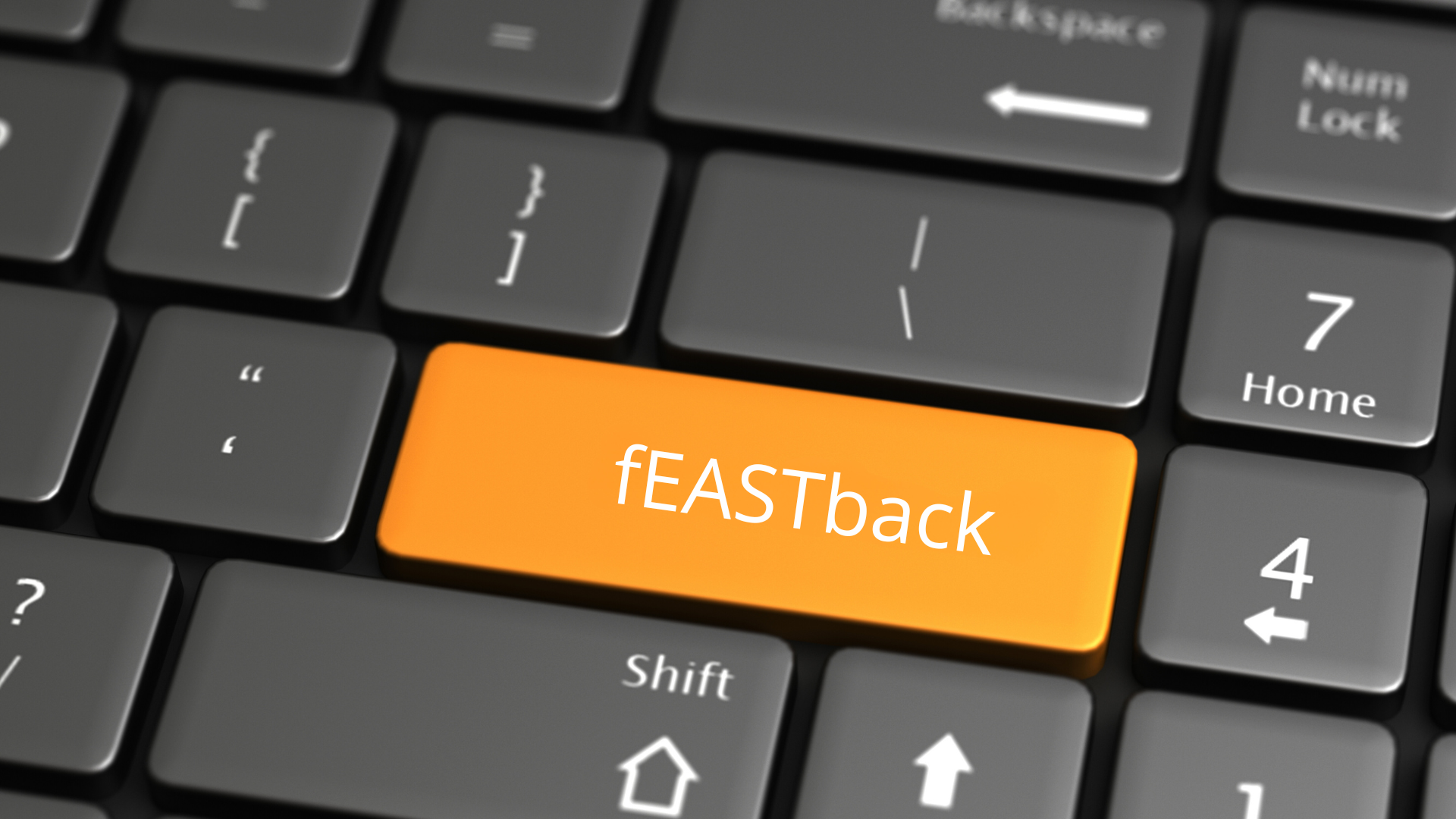 fEASTback Model: Optimizing Feedback with a Behavioral Perspective ...