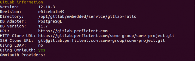 Configuring Your Own GitLab Instance / Blogs / Perficient