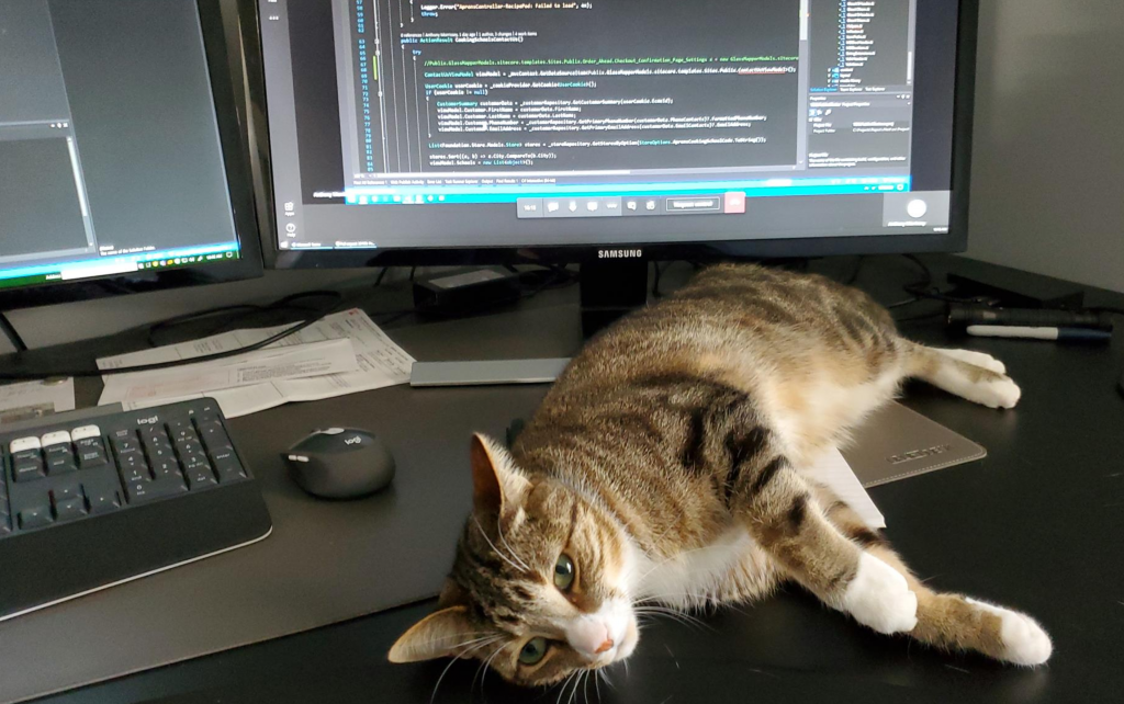Colleagues Turn International Cat Day into a Paw-ty - Perficient Blogs
