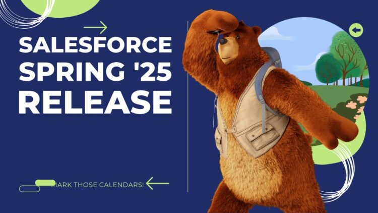 Preparing for Salesforce Spring '25 Release Updates: LWC & Flow Updates ...