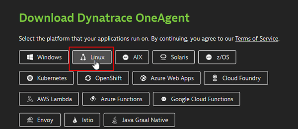 End-to-End Monitoring for EC2: Deploying Dynatrace OneAgent on Linux / Blogs / Perficient