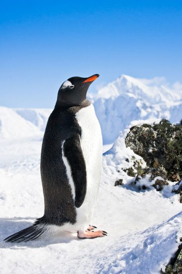 How a Perficient Team is Tackling the Slippery Slope of Declining ...