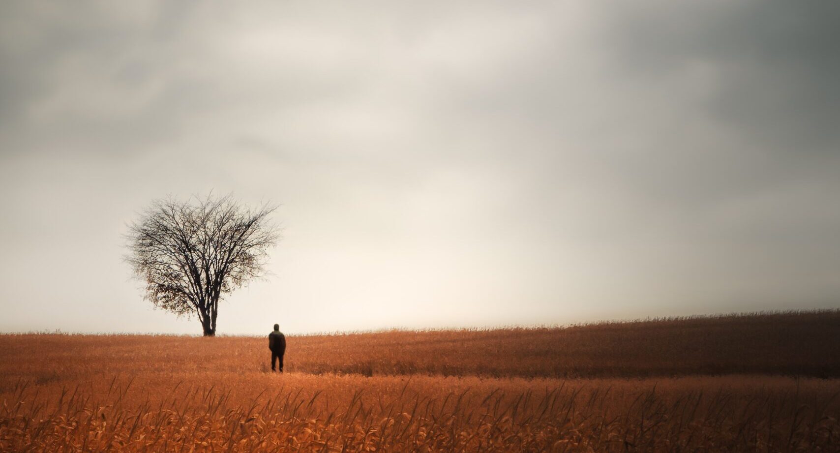 Docker Bootcamp Container Isolation Modes Blogs Perficient